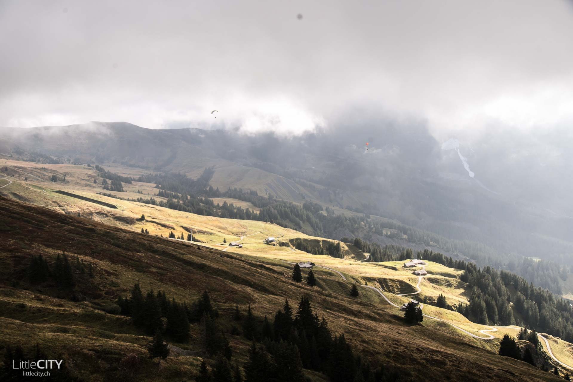 Ein actionreicher Herbsttag in Grindelwald First: Von Mountain Carts ...