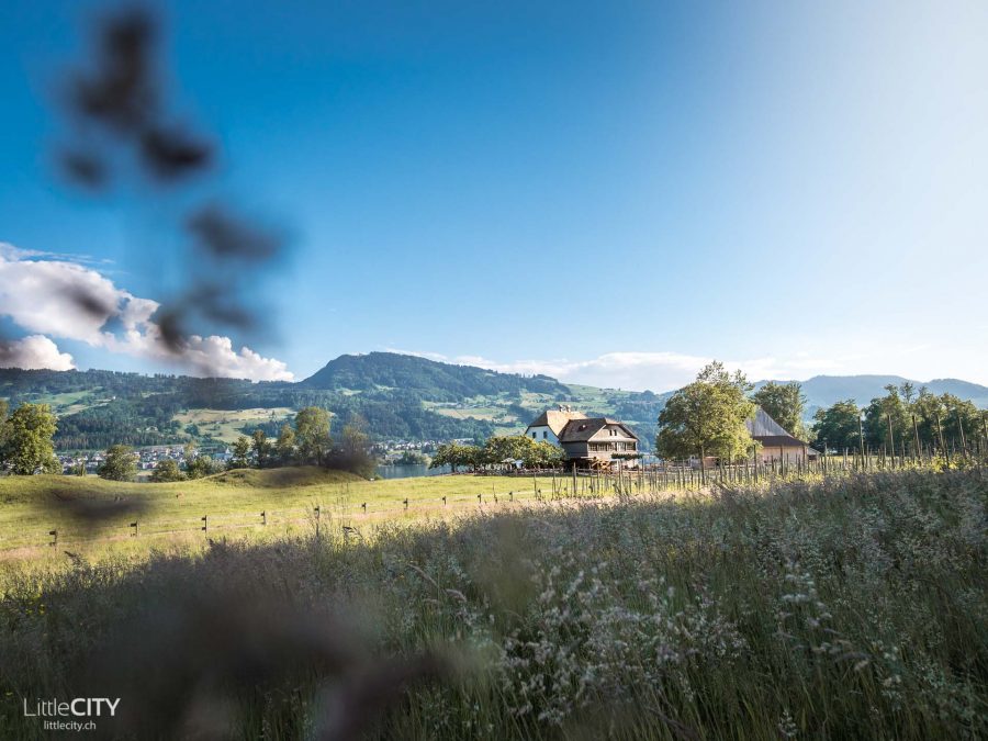 Insel Ufenau auf dem Zürichsee: Wunderschöne Schweizer Inseln #2 ⋆ ...