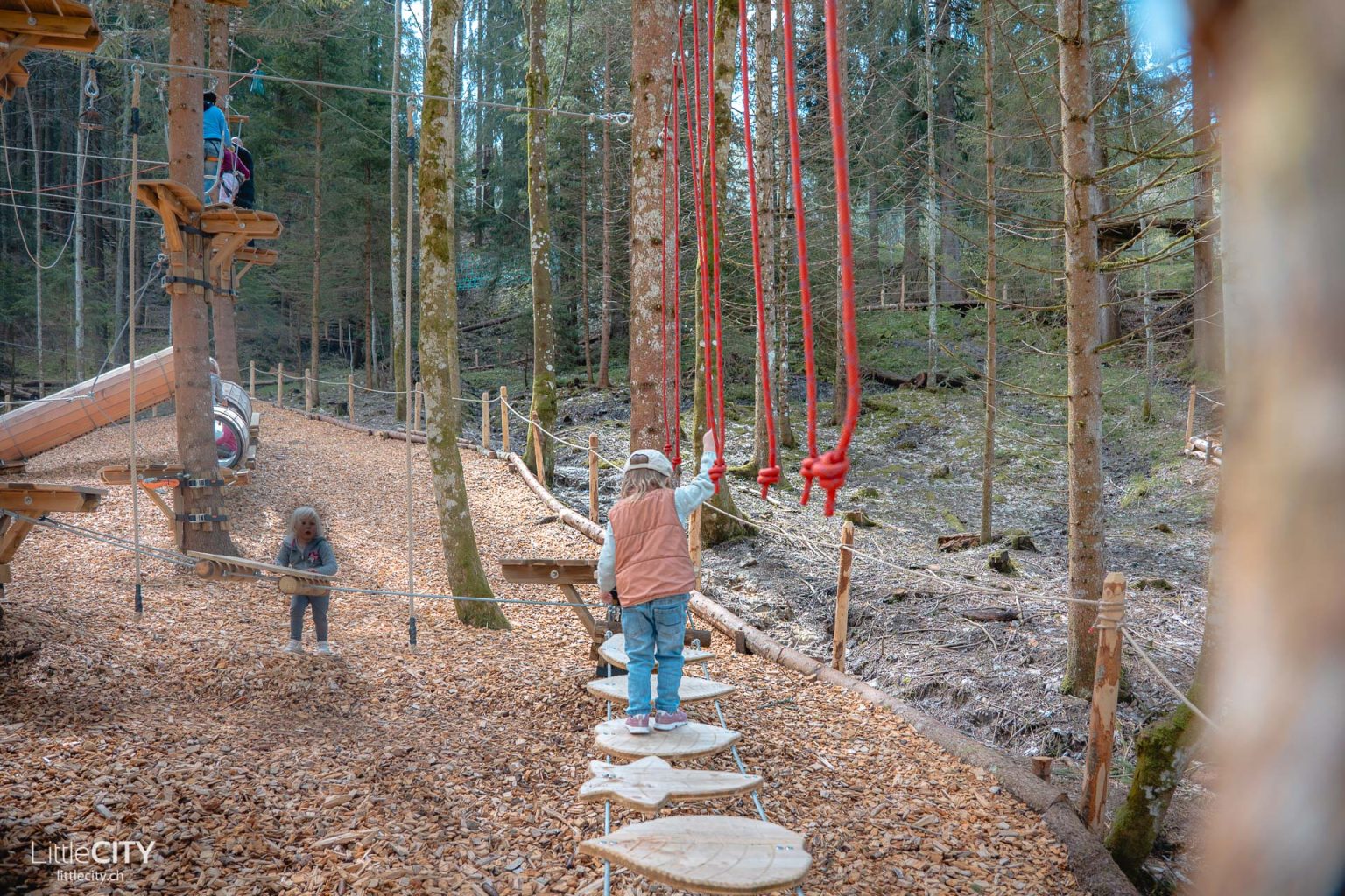 Freiburg / Fribourg: 7 TOP Ausflüge für Familien